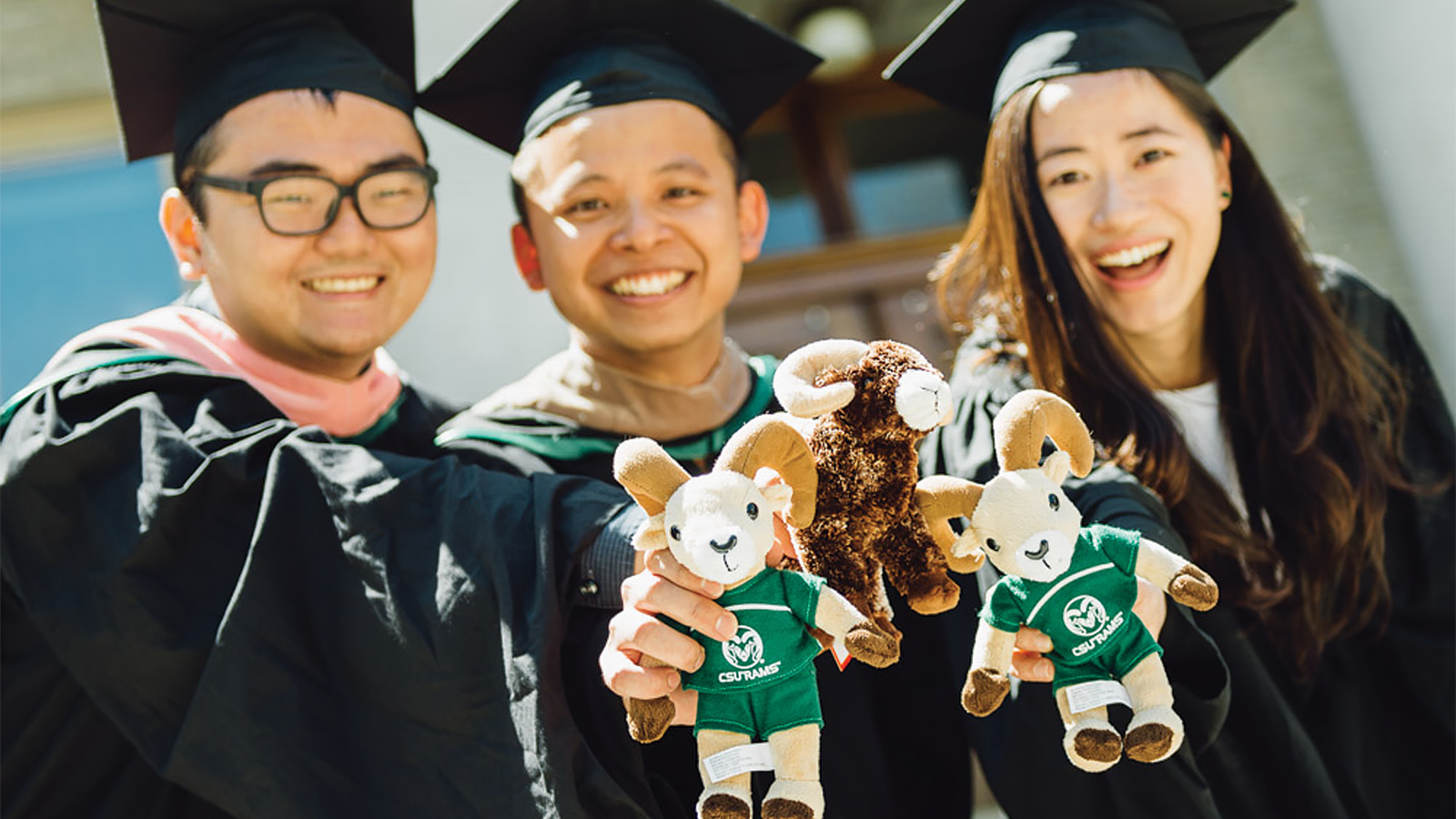 Grad Fest | Alumni Association